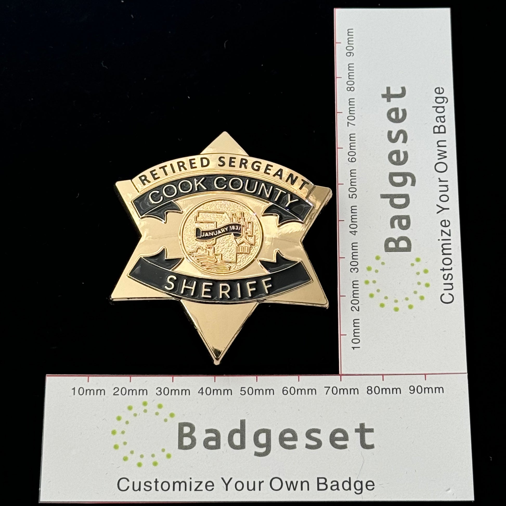 CCSO Cook County Sheriff Star Gold Badge Customizable Number Moive Pro ...
