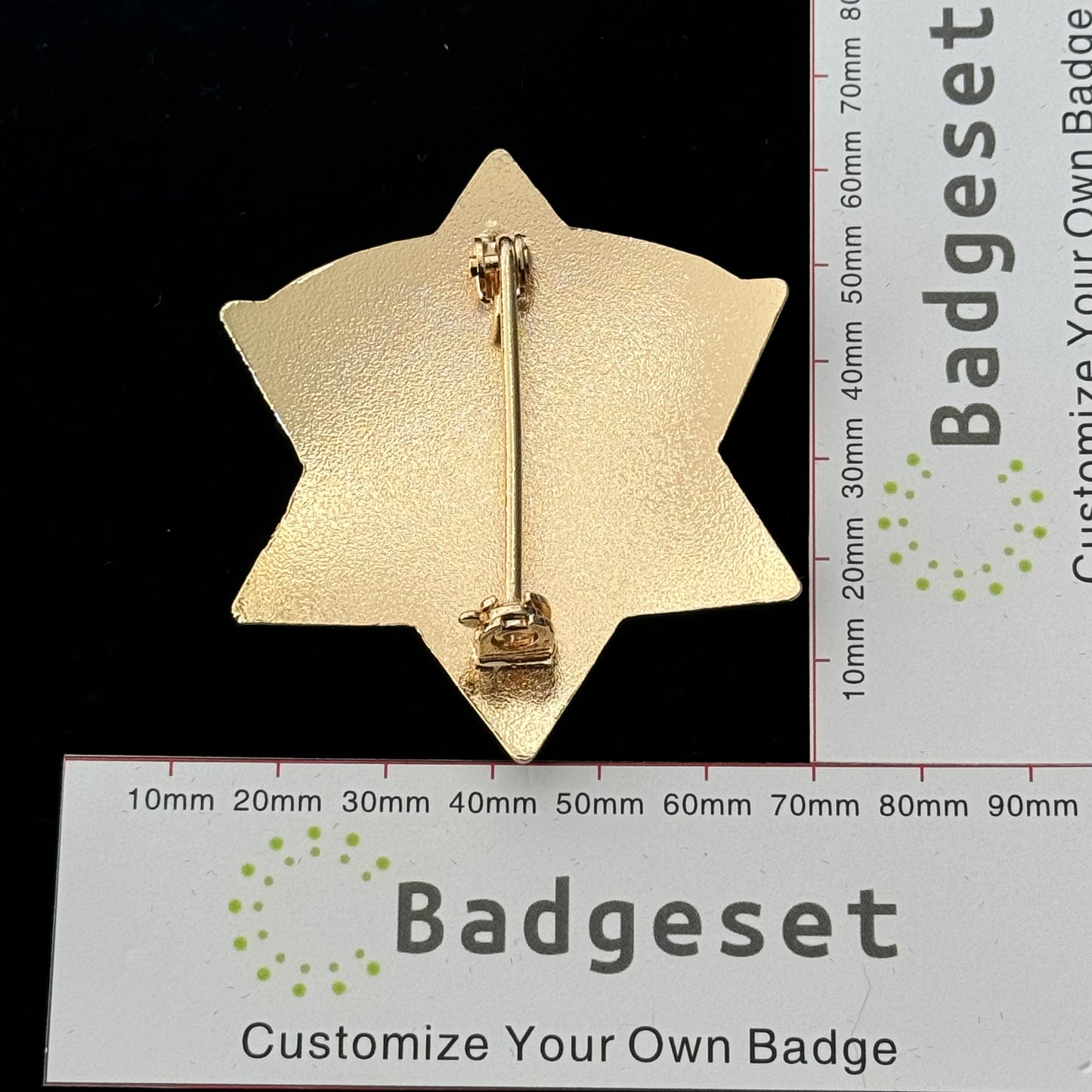 CCSO Cook County Sheriff Star Gold Badge Customizable Number Moive Pro ...