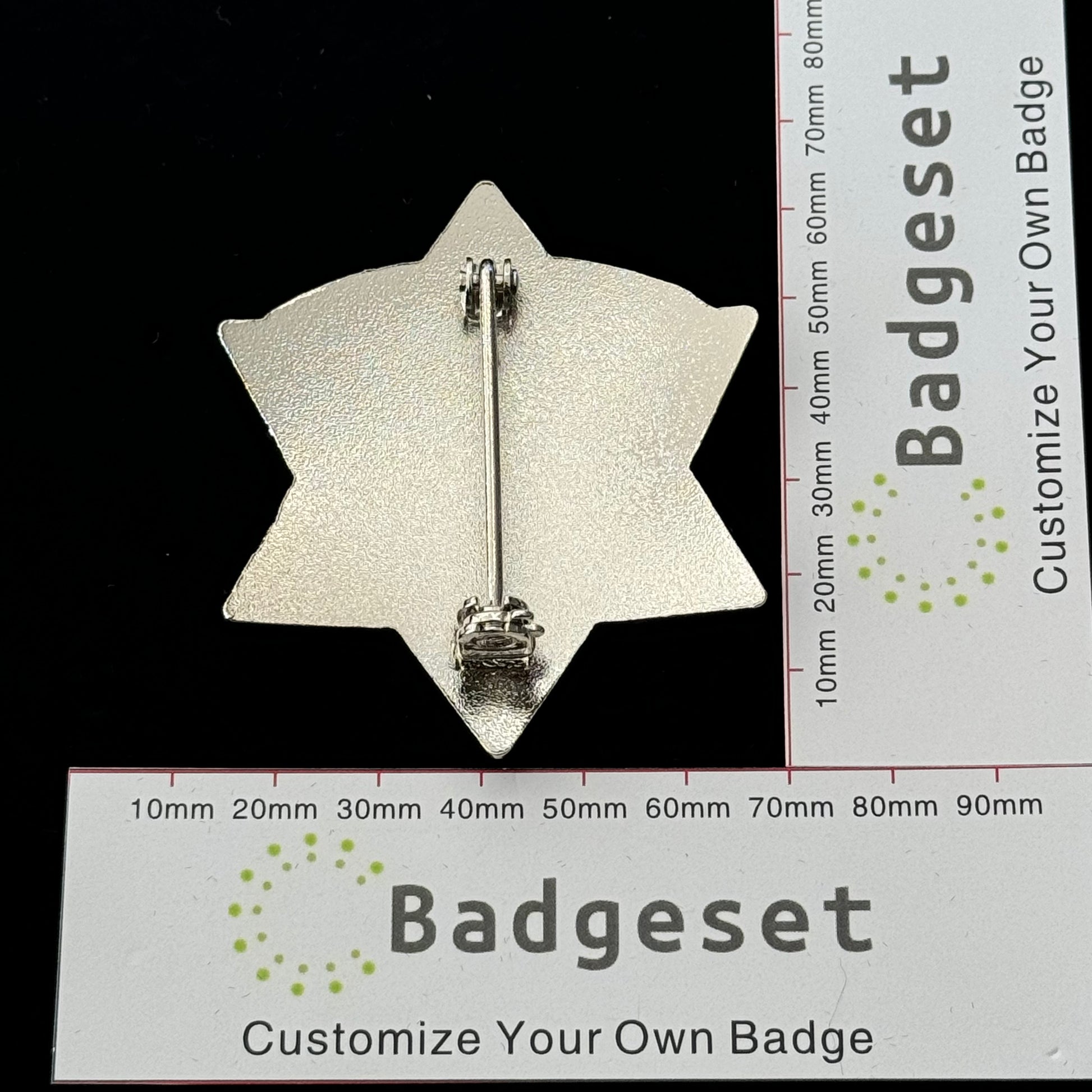 CCSO Cook County Sheriff Star Gold Badge Customizable Number Moive Pro ...
