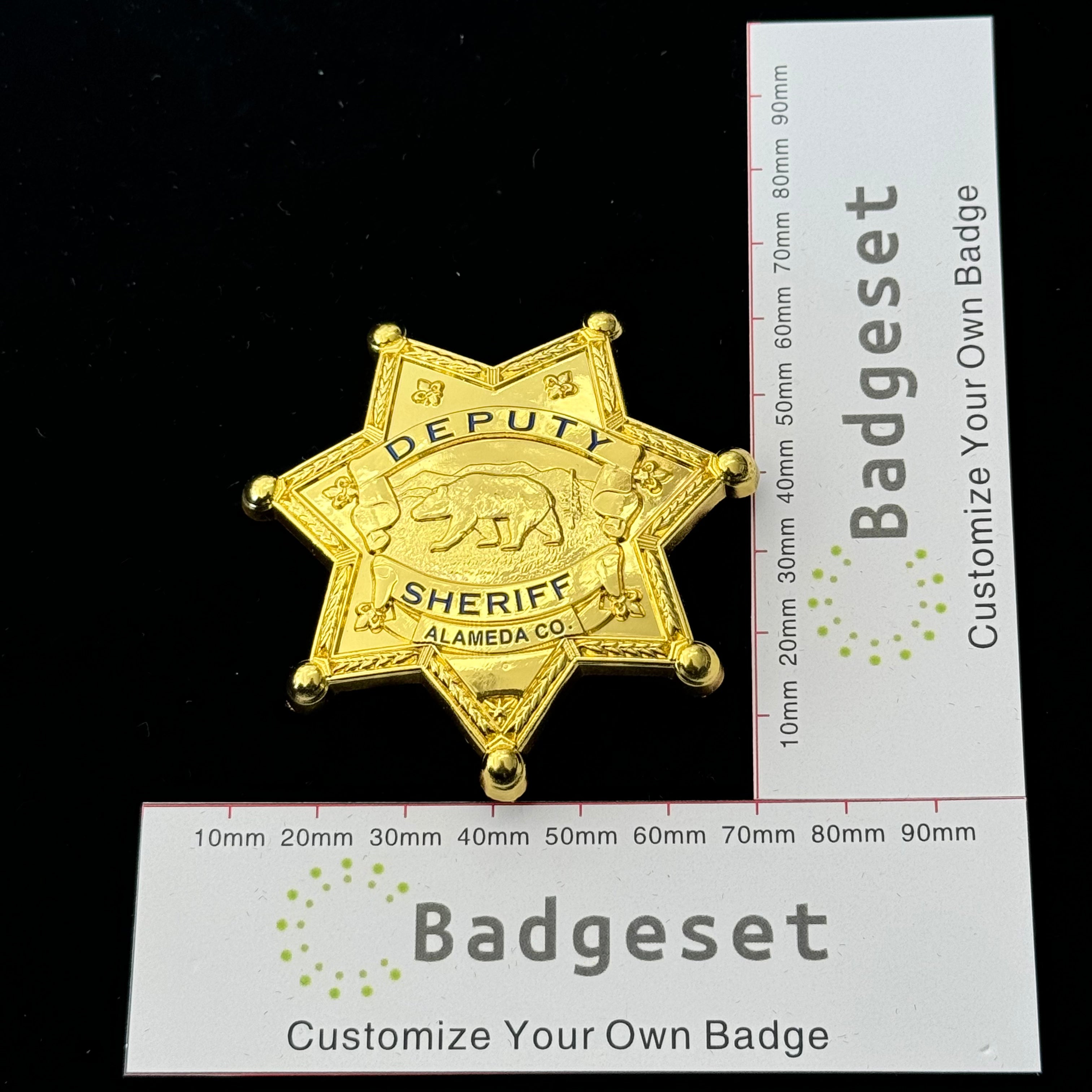 DEPUTY SHERIFF ALAMED CO. Customizable Number Movie prop badges – Badgesets